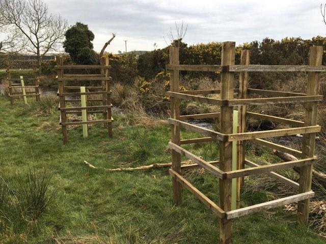 Biodiversity Challenge Fund Habitat Restoration Project